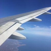 Kate’s Flight of Ideas – Not Dunn Growing Up!